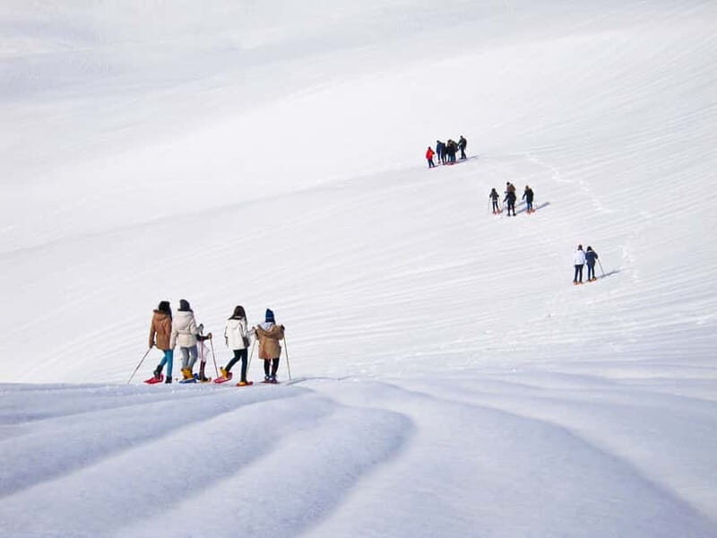 From Cluj: Winter Walking Trip on the Great Mountain - What Makes This Tour Stand Out