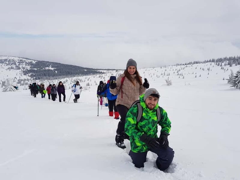 From Cluj: Winter Walking Trip on the Great Mountain - The Experience for Different Travelers