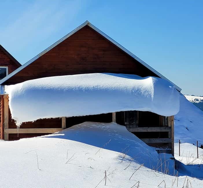 From Cluj: Winter Walking Trip on the Great Mountain - Pricing and Value