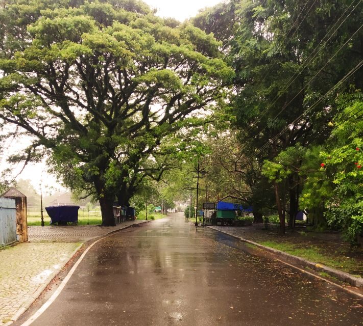 From Cochin: Fort Kochi and Mattancherry Sightseeing Tour - Who Should Consider This Tour?