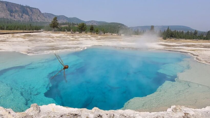 From Cody: Full-Day Yellowstone National Park Tour - The Nuts and Bolts: Practical Details