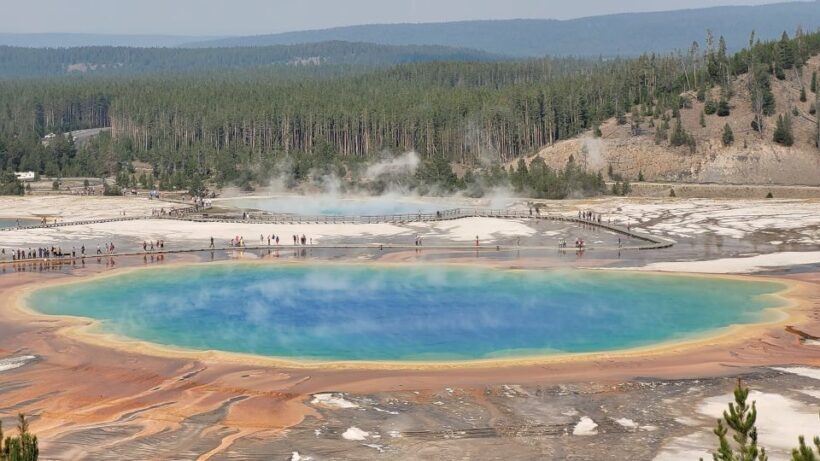 From Cody: Full-Day Yellowstone National Park Tour - Overall Value and Suitability