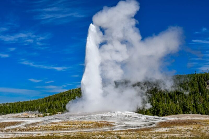 From Cody: Full-Day Yellowstone National Park Tour - Who Should Consider This Yellowstone Tour?