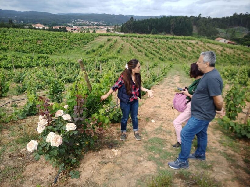 From Coimbra: Dão Wine Route Experience - What’s Included and What’s Not