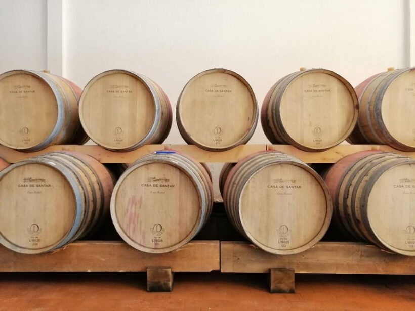 From Coimbra: Dão Wine Route Experience - Who Will Love This Tour?