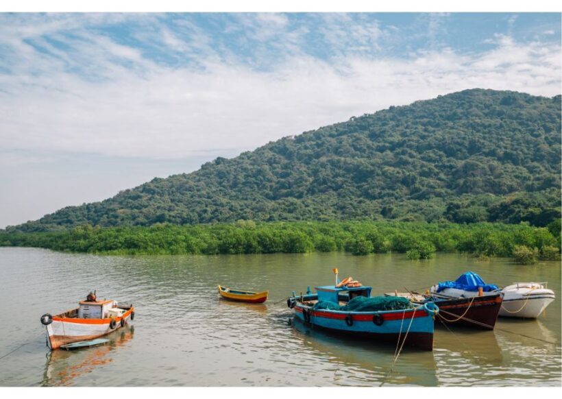 From Colaba: Half-Day Sightseeing Tour with Elephanta Caves - FAQ