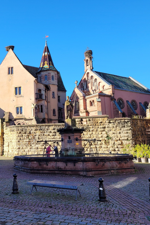 From Colmar: Alsace Wine Route Tour Half Day - Key Points