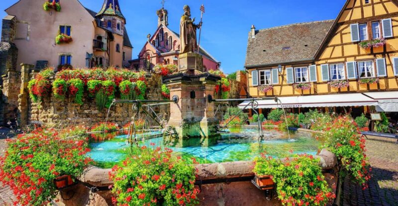 From Colmar: Alsace Wine Route Tour Half Day - Highlights