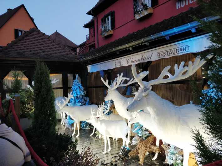 From Colmar: Christmas Markets Across 3 Borders - Inclusions