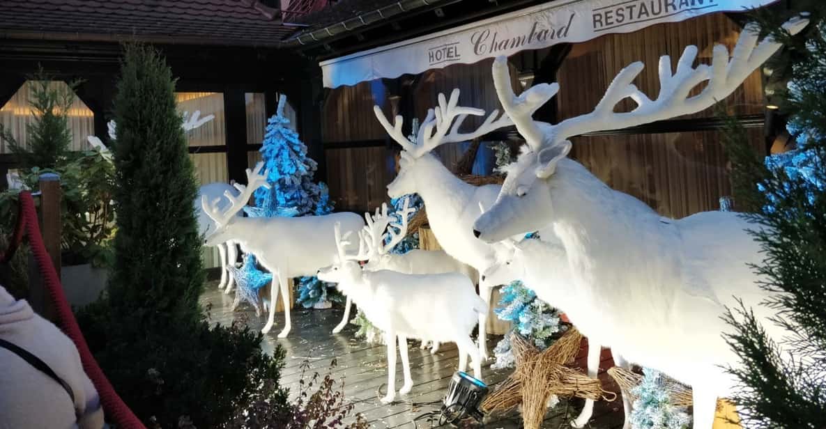From Colmar: Christmas Markets Across 3 Borders - Customer Reviews