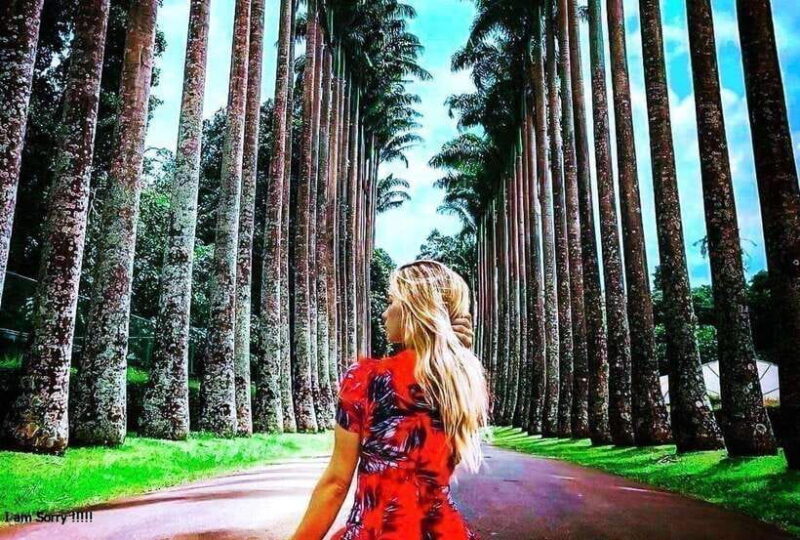 From Colombo: 2-Day Nuwara Eliya, Kandy, and Sigiriya Tour - Who Should Consider This Tour?