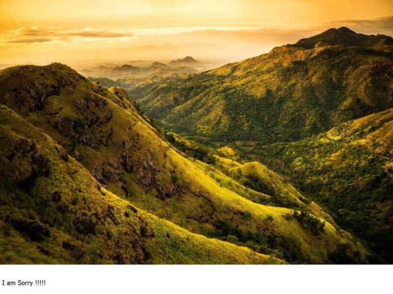 From Colombo: 2-Day Tour to Nuwara Eliya & Transfer Ella - Practical Details & Value