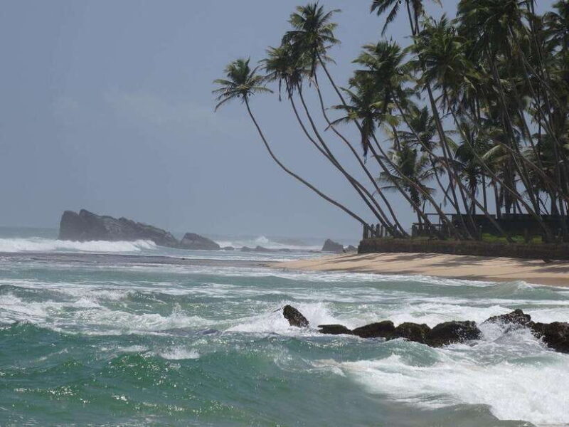 From Colombo: 3-Day Hill Country Escape with Train Ride - What to Bring and Tips