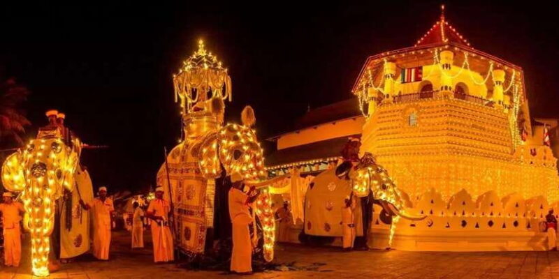 From Colombo - Day Trip to Kandy/ Pinnwala/ Royal Gardens - Who Will Love This Tour?