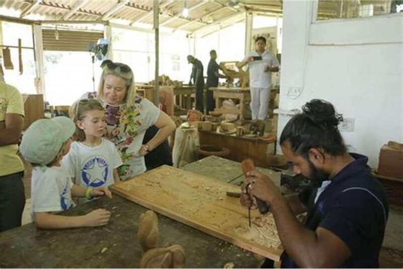 From Colombo: Discover Elephant Orphanage and Kandy Day Tour - Who Will Love This Tour?