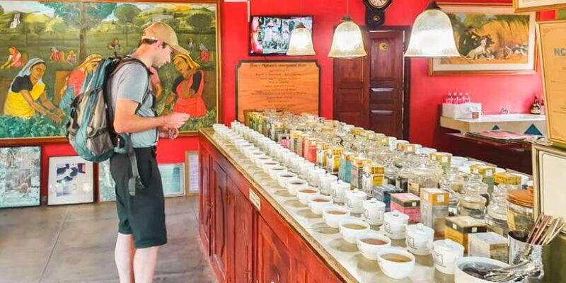 From Colombo: Handungoda, Galle, Ahangama, & Kosgoda Tour - Key Points