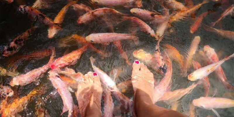 From Colombo: Handungoda, Galle, Ahangama, & Kosgoda Tour - Final Thoughts