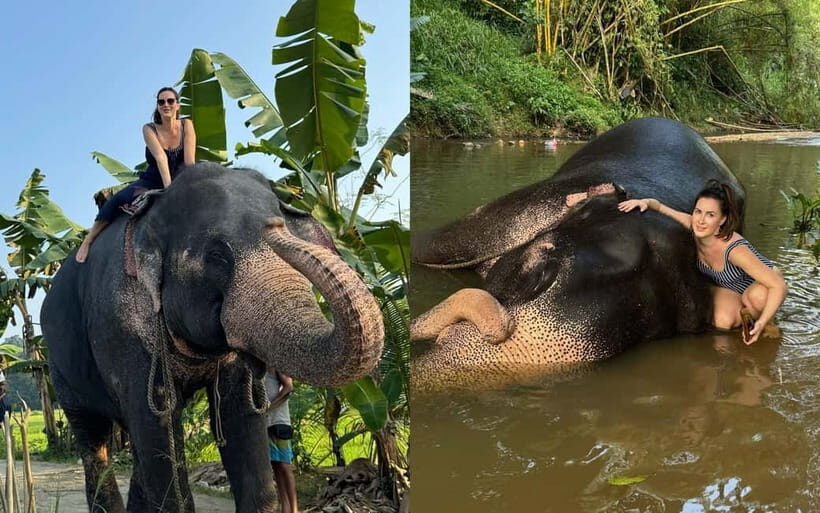From Colombo: Highlights of Kandy, Elephant Orphanage Tour - From Colombo: Highlights of Kandy, Elephant Orphanage Tour