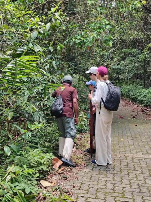 From Colombo/Kalutara: Full-Day Sinharaja Guided Eco Trek - Key Points