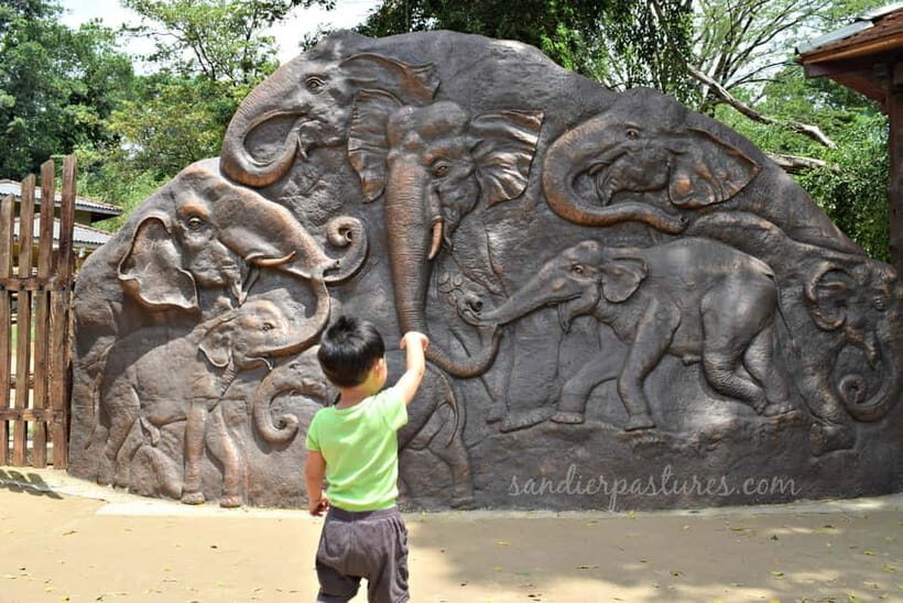From Colombo: Kandy and Pinnawala Orphanage Short Excursions - Key Points