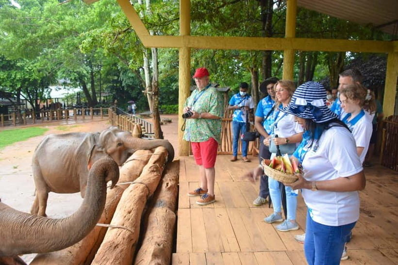 From Colombo: Kandy and Pinnawala Orphanage Short Excursions - What the Reviews Say: Authentic Perspectives