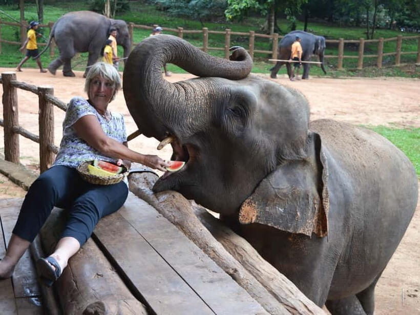 From Colombo: Kandy and Pinnawala Orphanage Short Excursions - FAQ