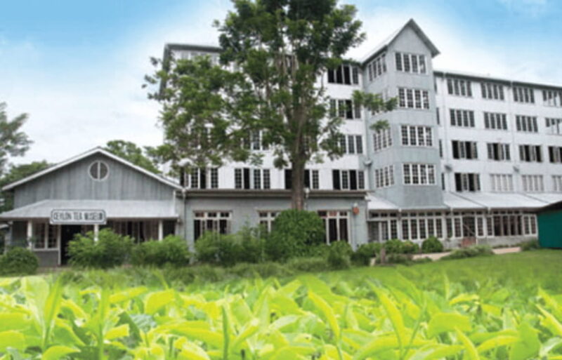 From Colombo: Kandy and Tea Plantations Day Trip - Key Points