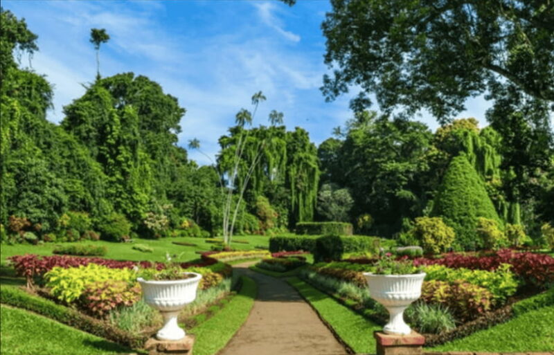 From Colombo: Kandy and Tea Plantations Day Trip - First Stop: The Temple of the Sacred Tooth Relic
