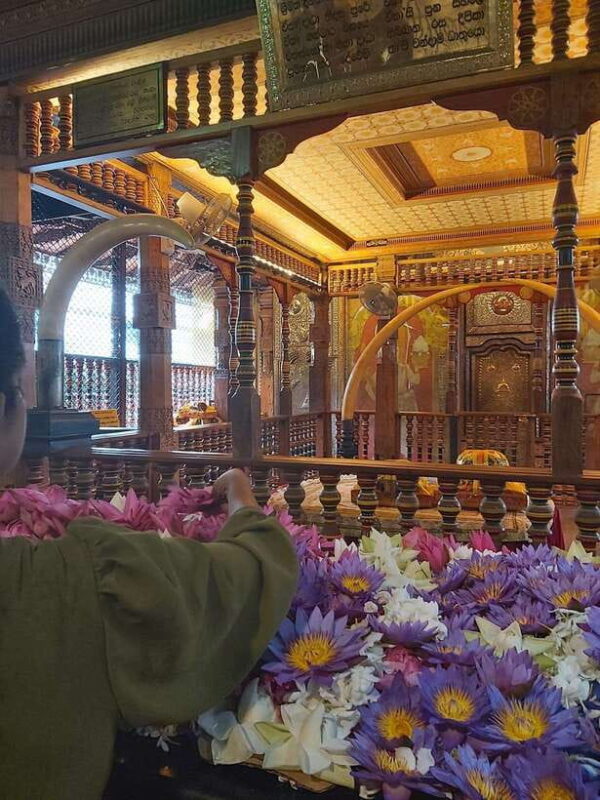 From Colombo: Kandy, Pinnawala and Tea Factory Full-Day Trip - FAQs