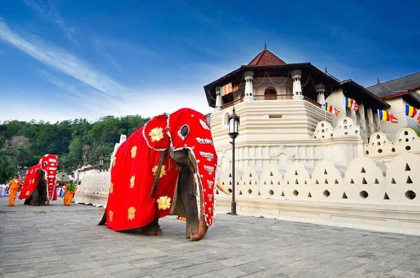 From Colombo: Kandy, Pinnawala and Tea Factory Full-Day Trip - Key Points
