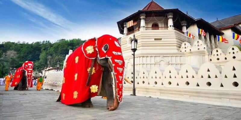 From Colombo: Kandy, Pinnawala and Tea Factory Full-Day Trip - Exploring the Kandy, Pinnawala, and Tea Factory Full-Day Trip from Colombo