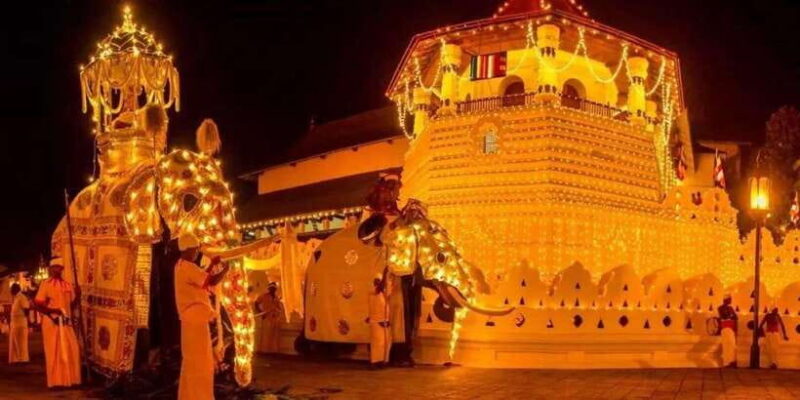 From Colombo: Kandy, Pinnawala and Tea Factory Full-Day Trip - Who This Tour Is Best For