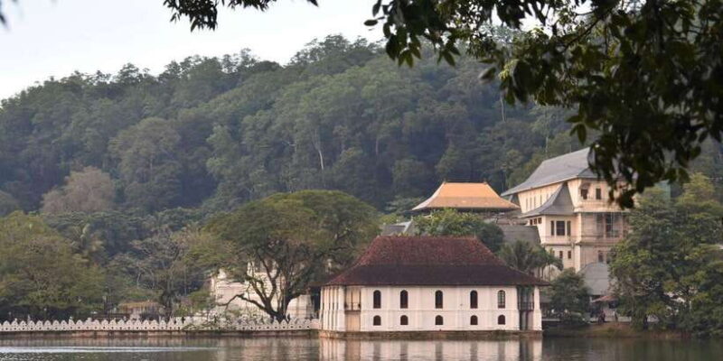 From Colombo: Kandy, Pinnawala and Tea Factory Full-Day Trip - Final Verdict