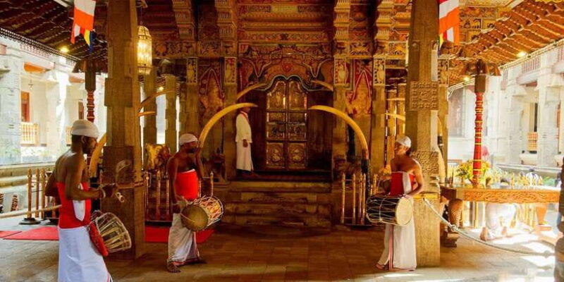 From Colombo: Kandy & Pinnawala & Tea Factory Full Day Trip - Key Points