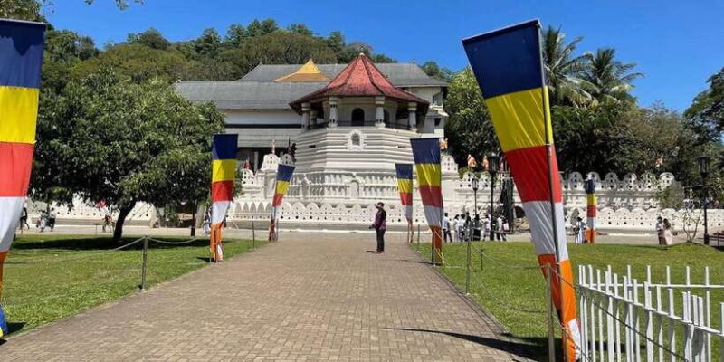 From Colombo: Kandy & Pinnawala & Tea Factory Full Day Trip - How the Day Unfolds: A Typical Itinerary