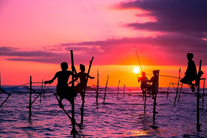 From Colombo/ Negambo - Southern SriLanka Day Trip - The Sum Up