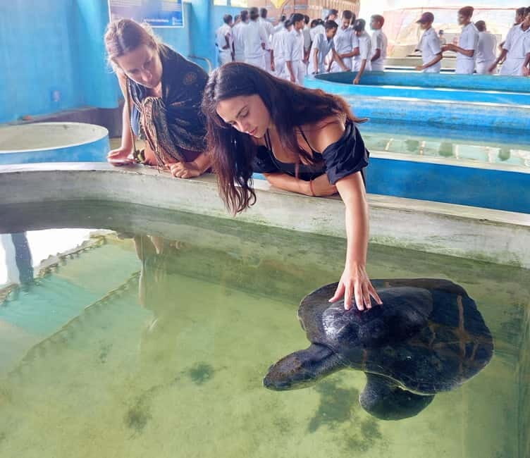 From Colombo/Negombo: Galle, Madu River, and Turtle Hatchery - Key Points