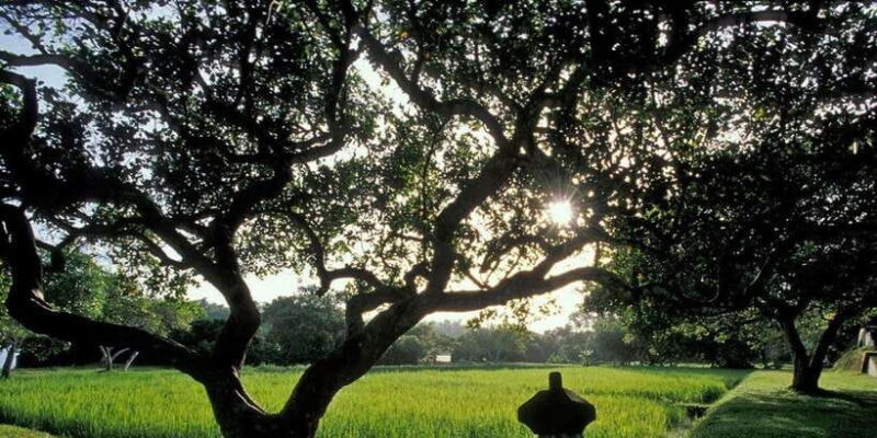 From Colombo/ Negombo: Lunuganga & Brief Garden Odyssey - Authenticity and Value