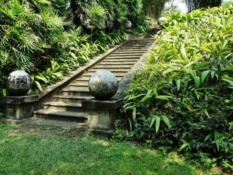 From Colombo/ Negombo: Lunuganga & Brief Garden Odyssey - Who Should Take This Tour?