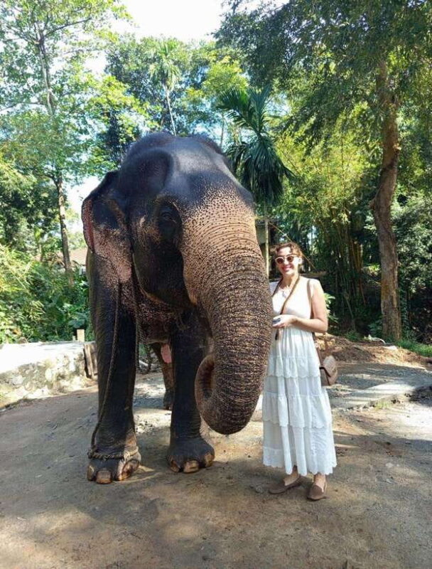 From Colombo or Negombo: Pinnawala, Kandy & Tea Factory Tour - Who Will Enjoy This Tour?