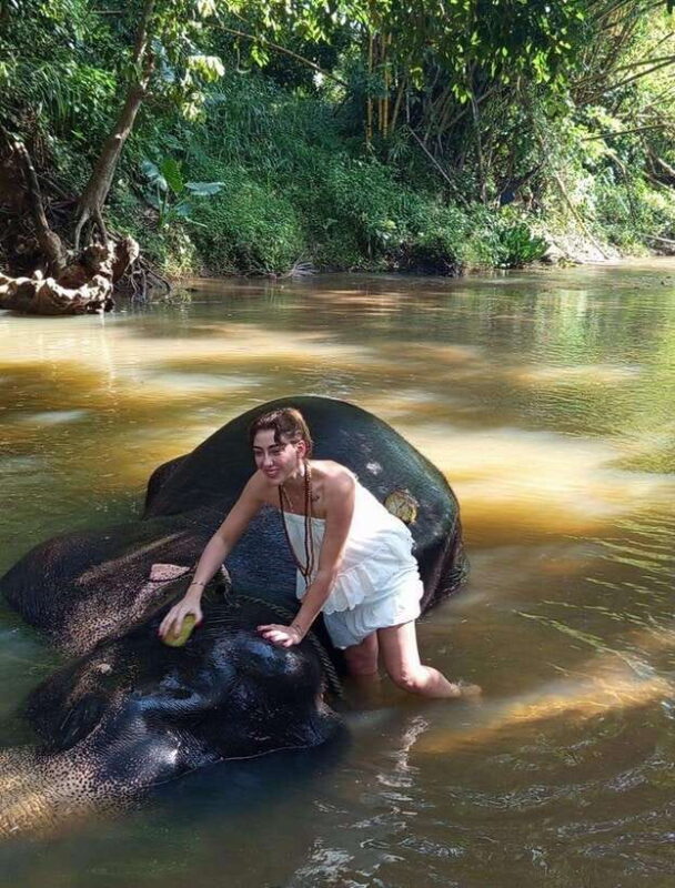 From Colombo or Negombo: Pinnawala, Kandy & Tea Factory Tour - The Sum Up