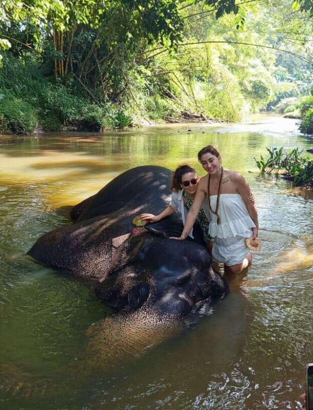 From Colombo or Negombo: Pinnawala, Kandy & Tea Factory Tour - FAQ