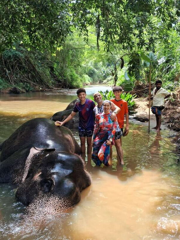 From Colombo: Pinnawala and Kandy Guided Day Tour by Car/Van - Key Points