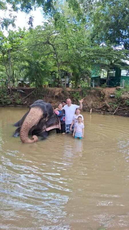 From Colombo: Pinnawala and Kandy Guided Day Tour by Car/Van - Diving into the Itinerary: What Makes Each Stop Special