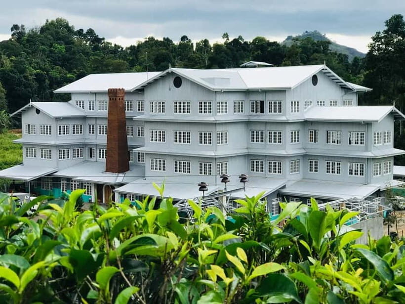From Colombo: Pinnawala & Tea factory with Kandy Hotel Drop - Who Might Want to Skip It?