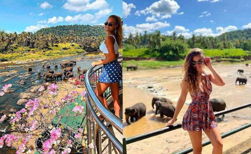 From Colombo: Pinnawala & Tea factory with Kandy Hotel Drop - Key Points