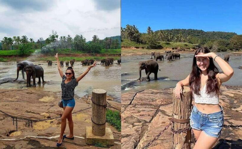 From Colombo: Pinnawala & Tea factory with Kandy Hotel Drop - A Closer Look at the Itinerary