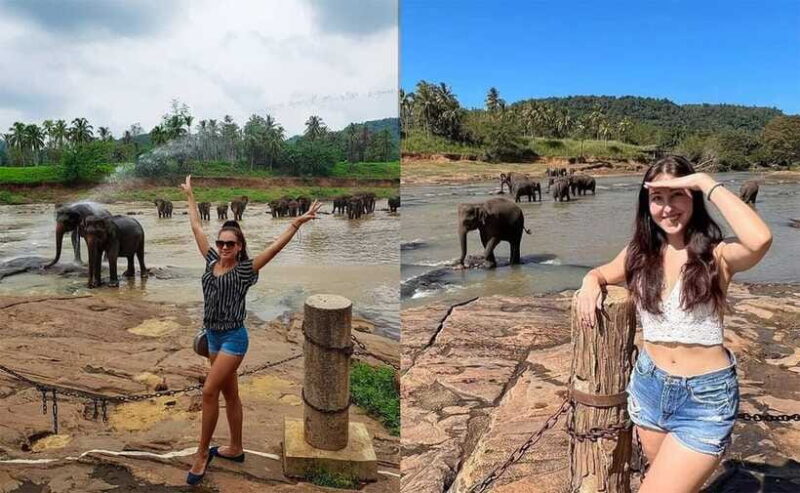 From Colombo: Pinnawala & Tea factory with Kandy Hotel Drop - Frequently Asked Questions