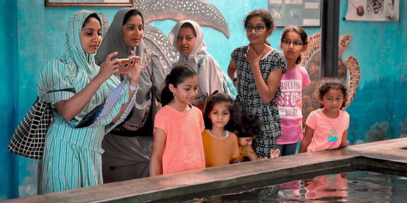 From Colombo: Private Full-Day Bentota Tour - Introduction