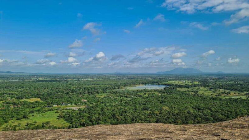 From Colombo: Sigiriya and Pidurangala Rock Day Trip - Key Points